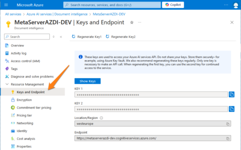 How to run the Azure AI Vision and Azure AI Document Intelligence ...